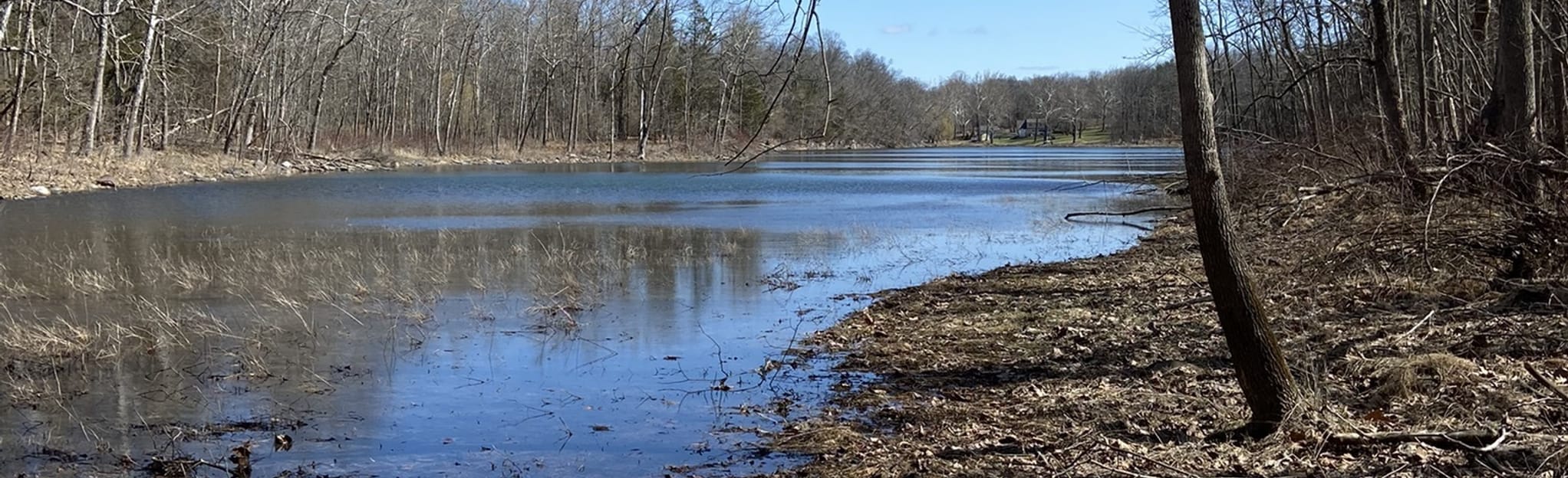 Swartswood Spring Lake Trail: 173 Reviews, Map - New Jersey | AllTrails