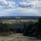 Gomshall Mill and Netley Park Circular, Surrey, England - 219 Reviews ...