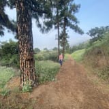 Colby Trail, California - 843 Reviews, Map | AllTrails