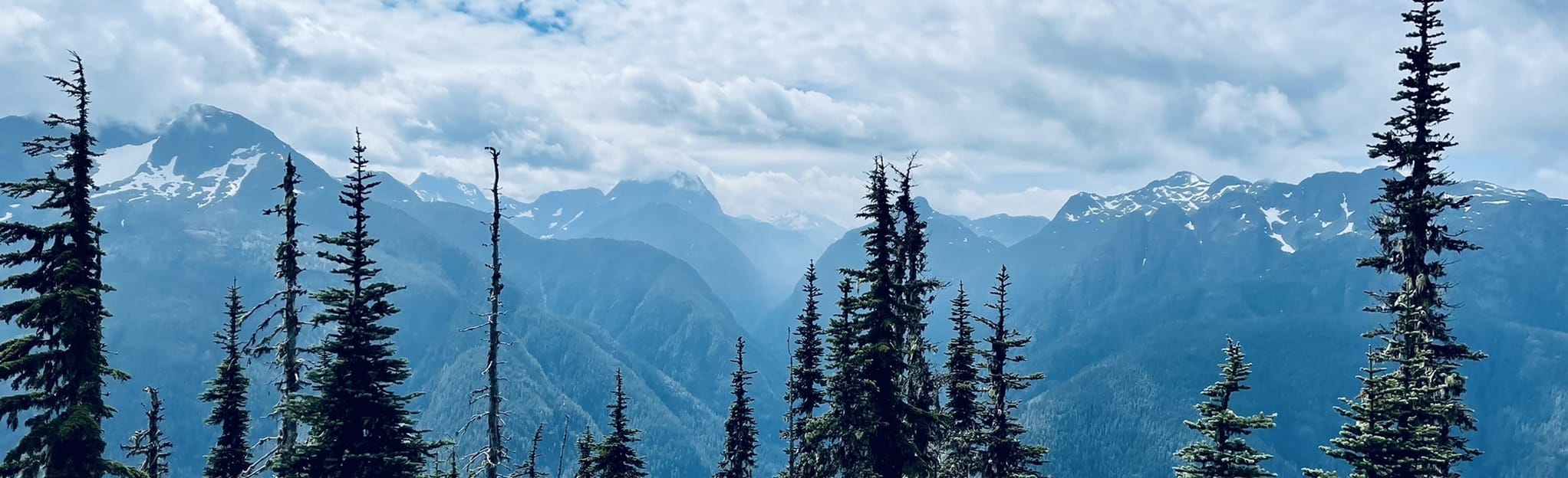 Crest Mountain, British Columbia, Canada - 321 Reviews, Map | AllTrails