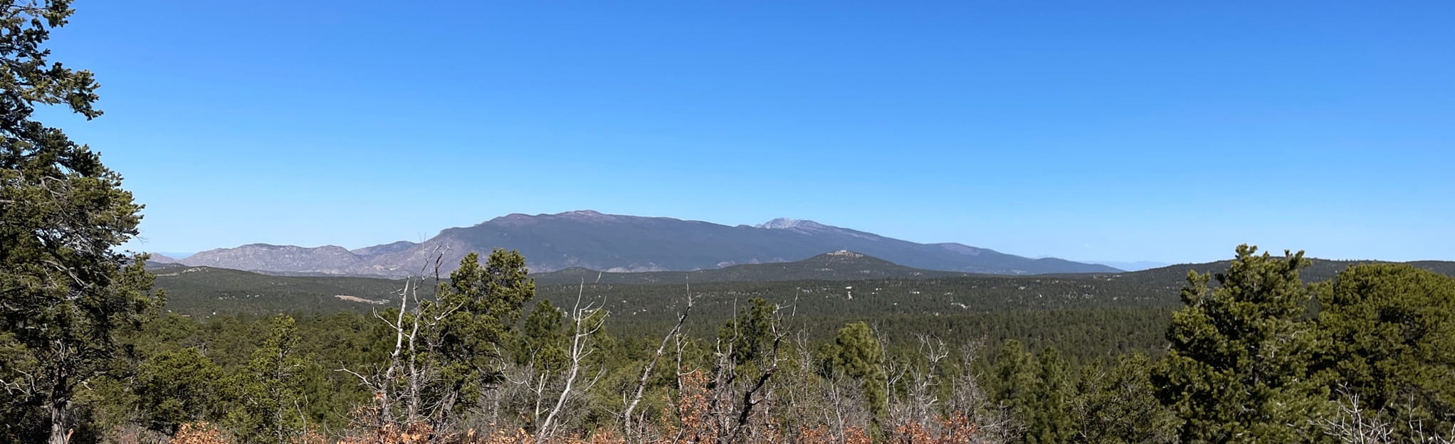 Easy Pickins, Oak Flat, Pine Loop, Gamble Oak, and Caida del Pino, New ...