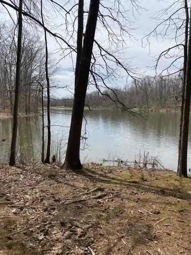 2023 Best Forest Trails In New Concord Alltrails