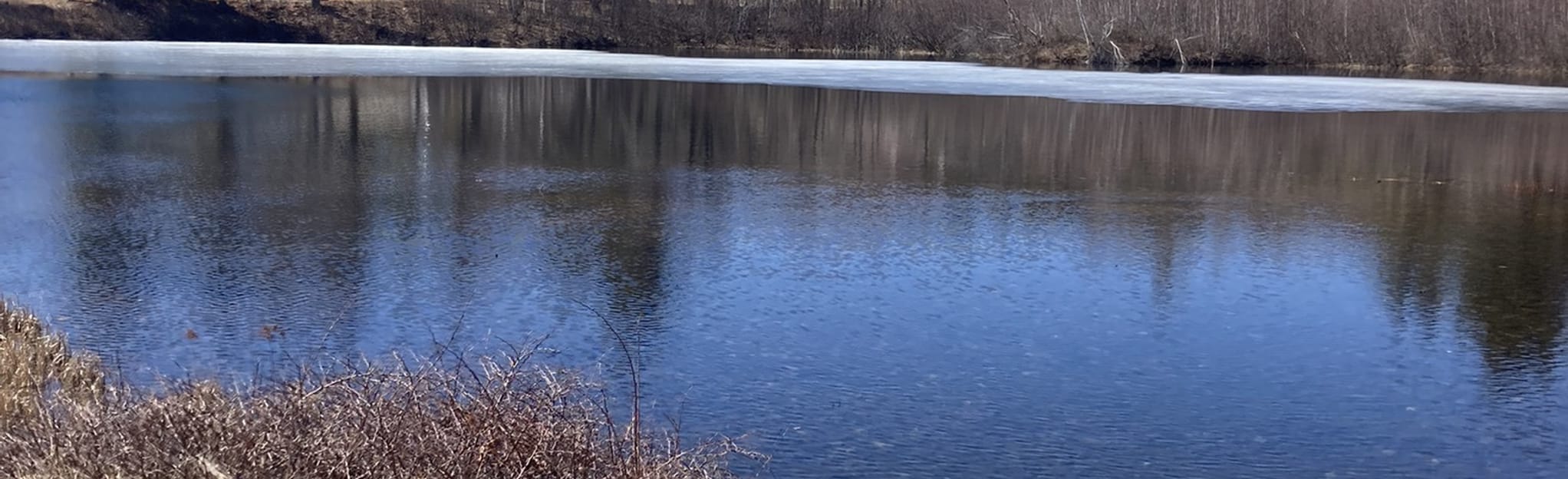 Turtleback Mountain and Brook Walk Trail Loop, New Hampshire - 836 ...