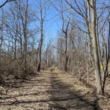 Ontario Pathways Rail Trail: Canandaigua to Phelps Junction, New York ...