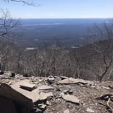 Plattekill Mountain Summit, New York - 47 Reviews, Map | AllTrails