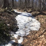 Plattekill Mountain Summit, New York - 47 Reviews, Map | AllTrails
