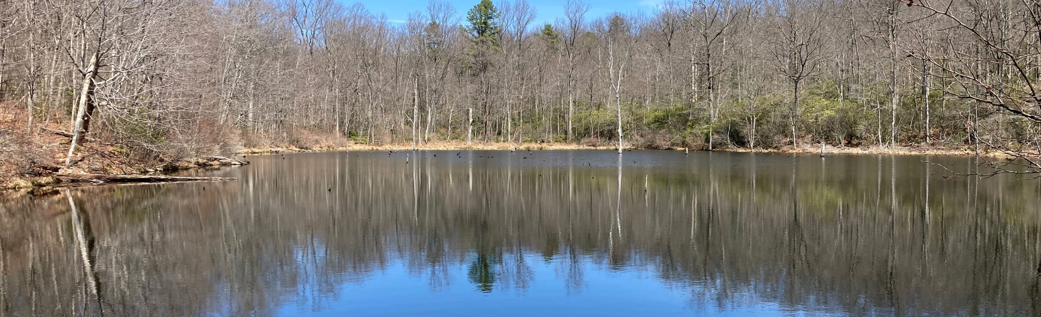 The Pit Loop , Maryland - 61 Reviews, Map | AllTrails