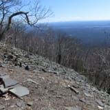 Plattekill Mountain Summit, New York - 47 Reviews, Map | AllTrails