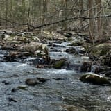 Fuller Mountain and Creek Loop, New York - 194 Reviews, Map | AllTrails