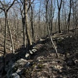 Fuller Mountain and Creek Loop, New York - 194 Reviews, Map | AllTrails