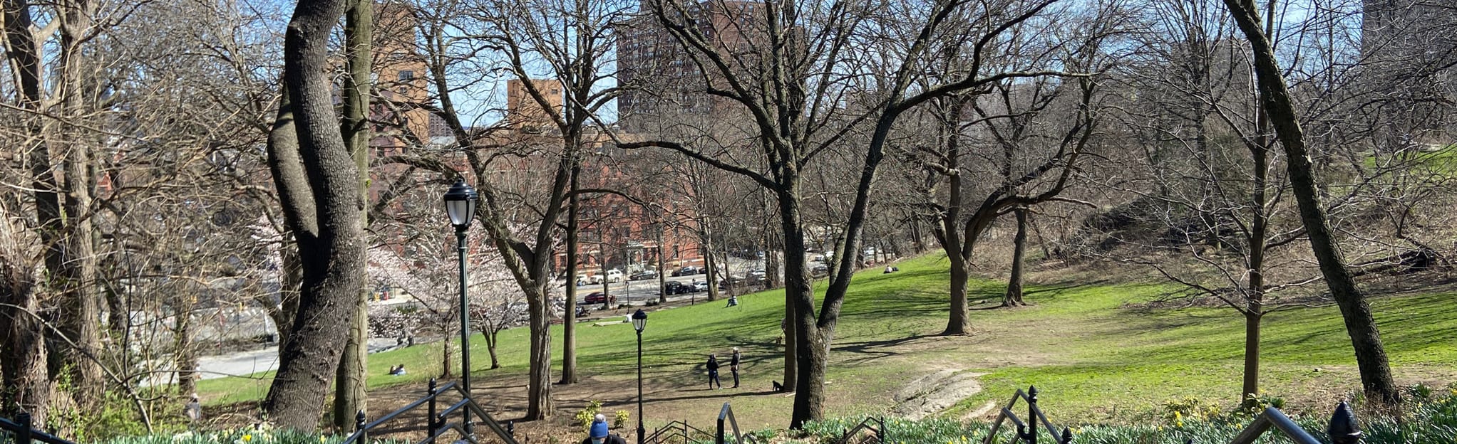 Saint Nichols Park - New York | AllTrails