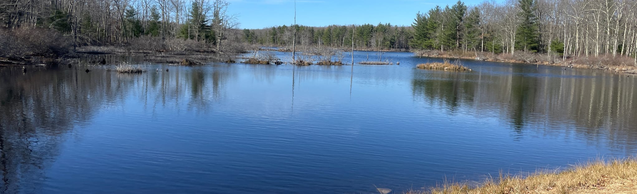 Buck Hill Trail Loop via North South Trail - Rhode Island | AllTrails