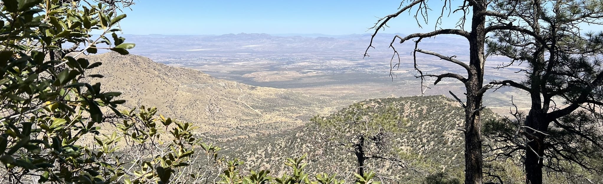 Ladybug Trail #329, Arizona - 96 Reviews, Map | AllTrails