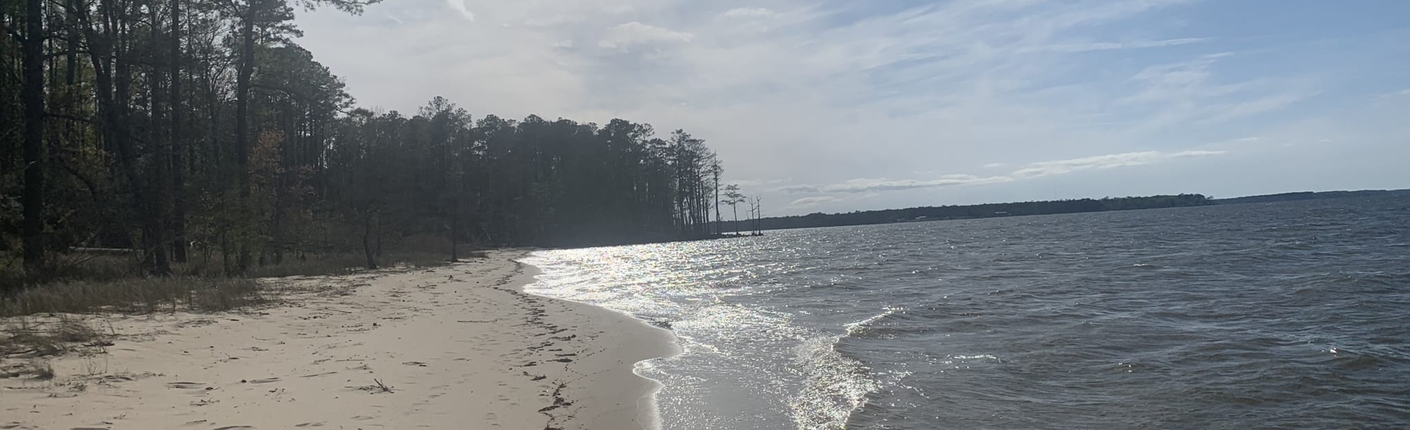 Neusiok Trail Northern Half: 146 Reviews, Map - North Carolina | AllTrails