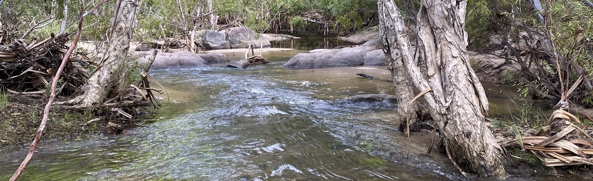 Coen Explorer, Queensland, Australia - Map, Guide | AllTrails