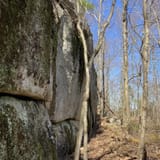 Squantz Pond Trail, Connecticut - 421 Reviews, Map | AllTrails