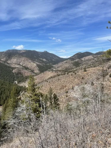 Best Hikes and Trails in Reynolds Ranch County Park | AllTrails