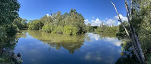 Best Walking Trails in Mooloolaba | AllTrails