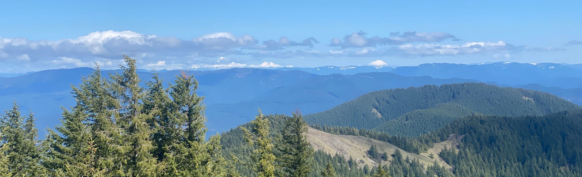 Mount June Trail, Oregon - 219 Reviews, Map | AllTrails