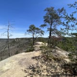 Silvermine Arch via Rough Trail, Kentucky - 120 Reviews, Map | AllTrails