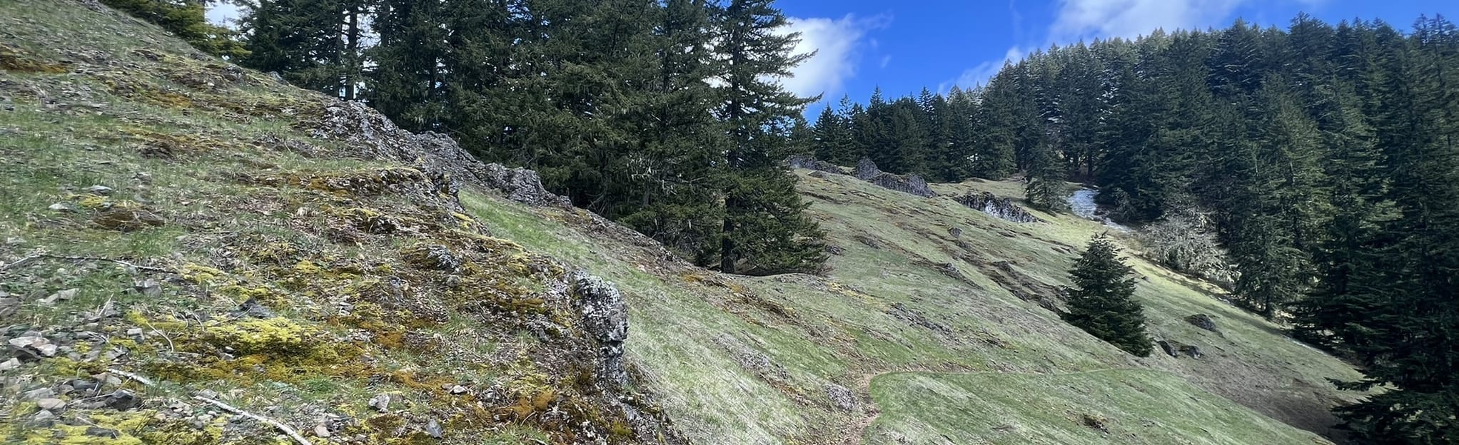 Eugene to Crest Trail #3359 - Tire Mountain Trailhead to Alpine Trail ...