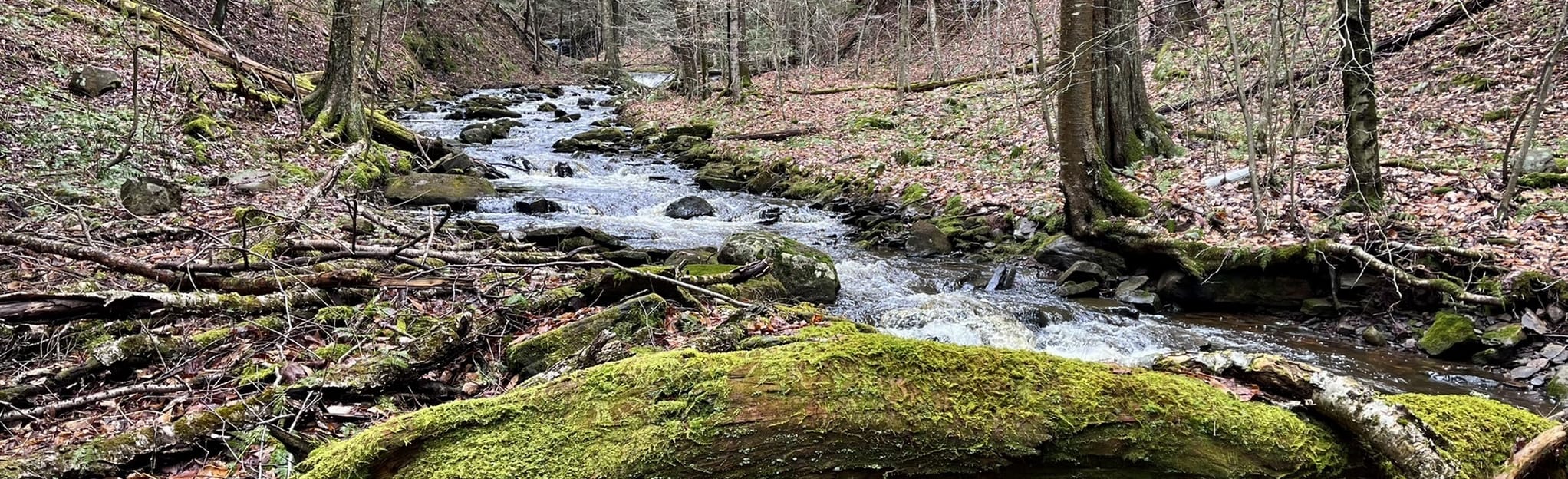 Rusty Run Falls: 50 Reviews, Map - Pennsylvania | AllTrails