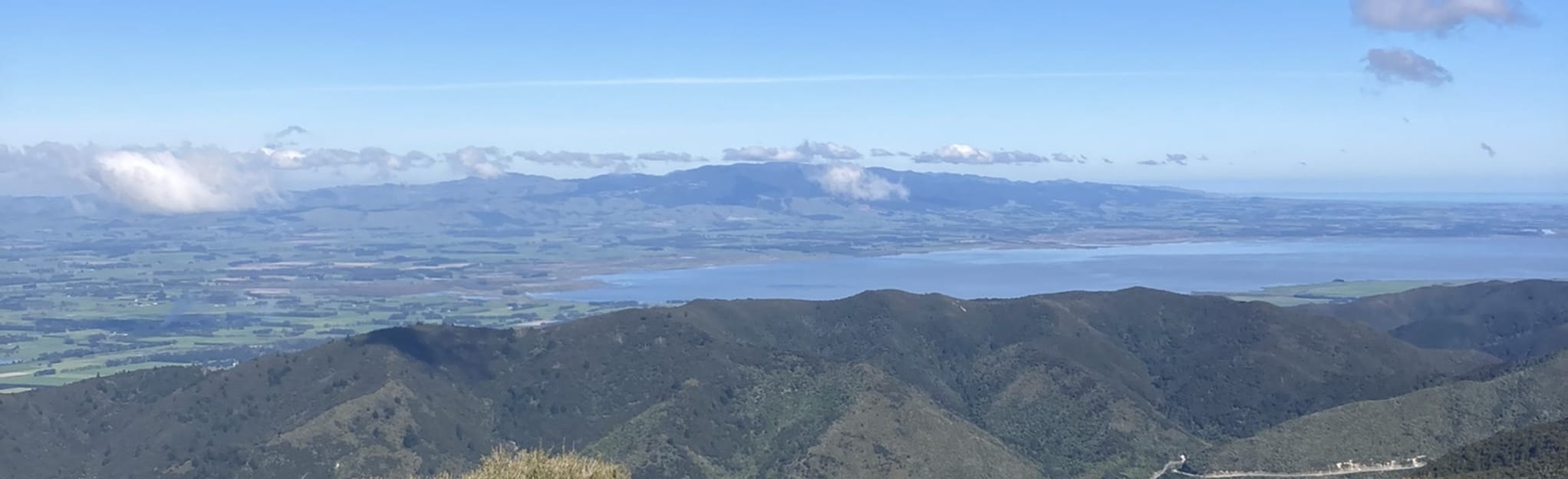 Mt Frith Track, Wellington, New Zealand - 5 Reviews, Map | AllTrails