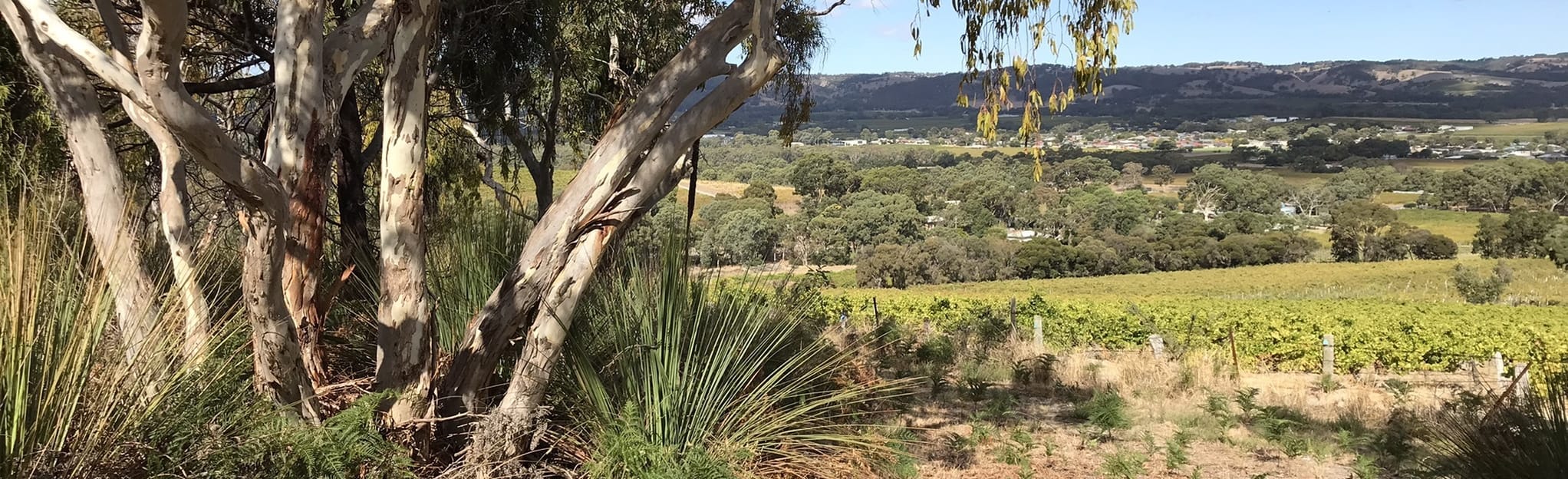 Manning Flora and Fauna Reserve, South Australia, Australia - 12 ...