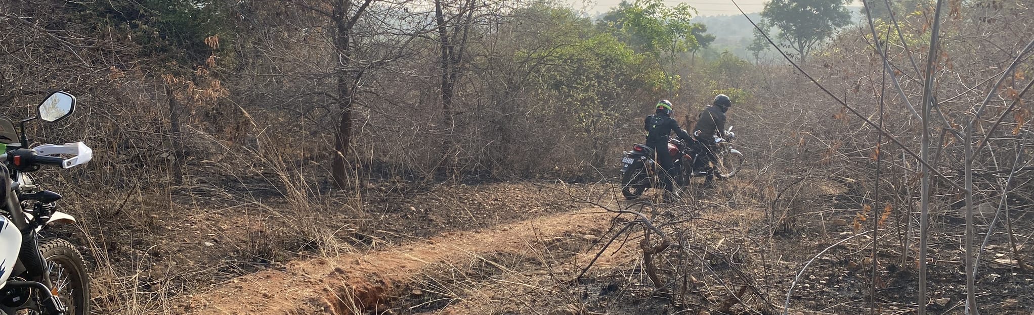 Devarabetta Trails, Karnataka, India - Map, Guide | AllTrails