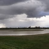 RSPB Freiston Shore: 40 Fotos - Lincolnshire, England | Wandern | AllTrails