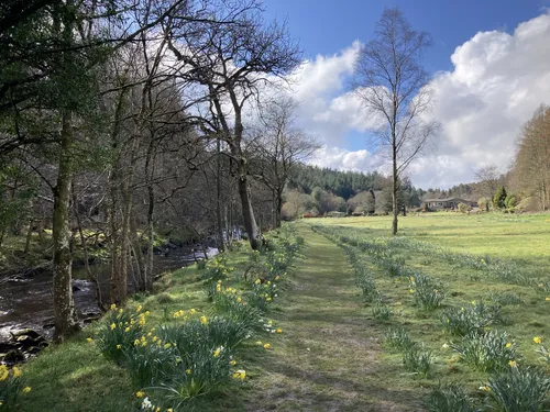 10 Best Walking Trails in Hexham | AllTrails