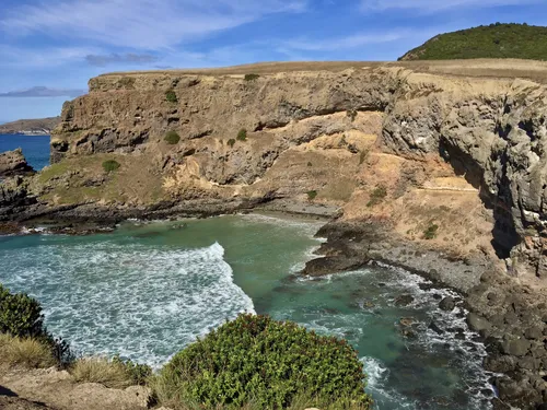 10 Best Trails and Hikes in Port Chalmers | AllTrails