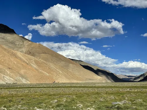 10 Best Hikes and Trails in Kibber Wildlife Sanctuary | AllTrails