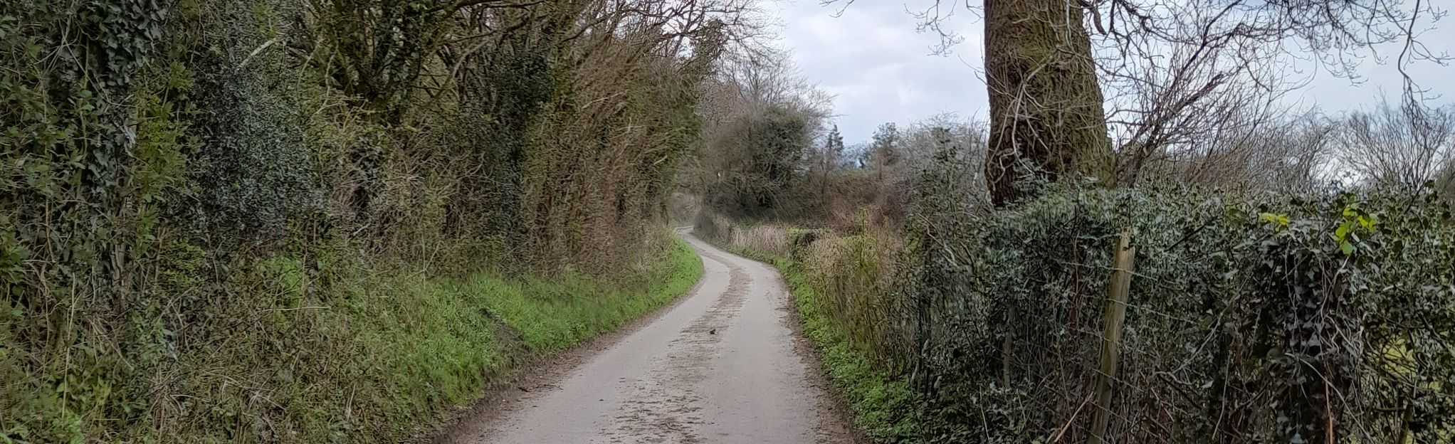 Machen - Waterloo Circular: 21 Fotos - Caerphilly, Wales | AllTrails