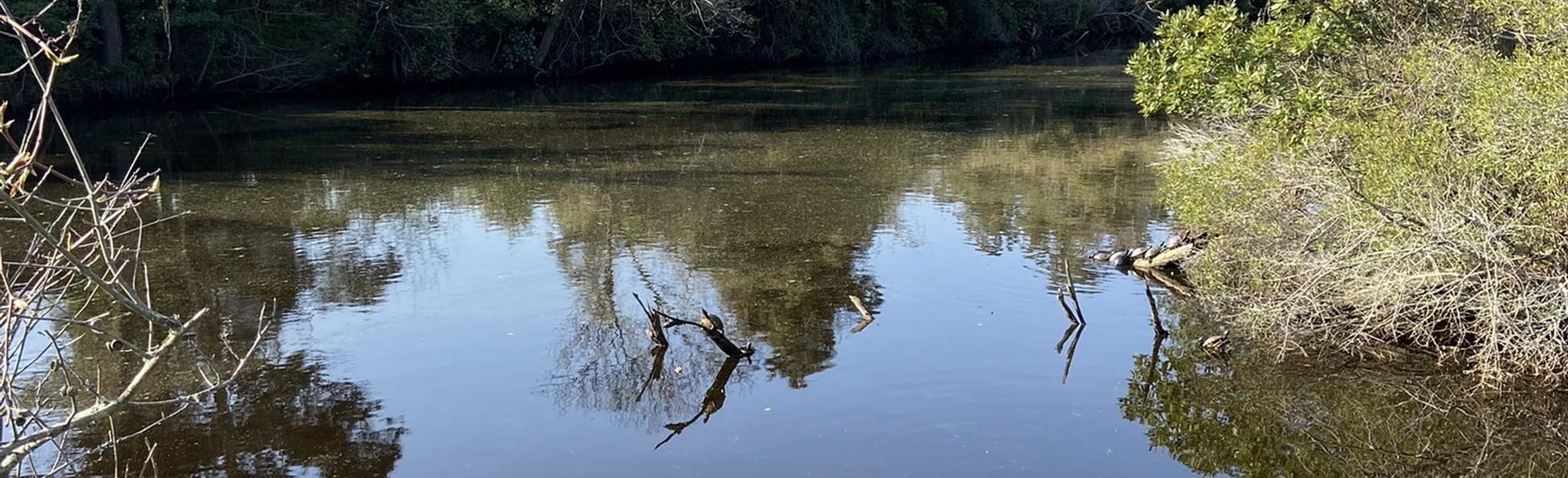 Sandy Run Park Loop, North Carolina - 77 Reviews, Map | AllTrails