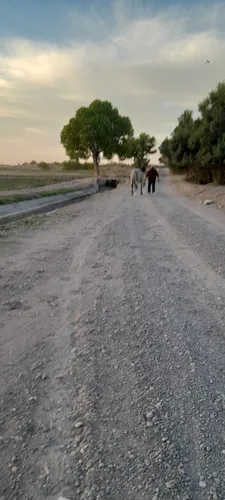 Best Hikes and Trails in Saucillo | AllTrails