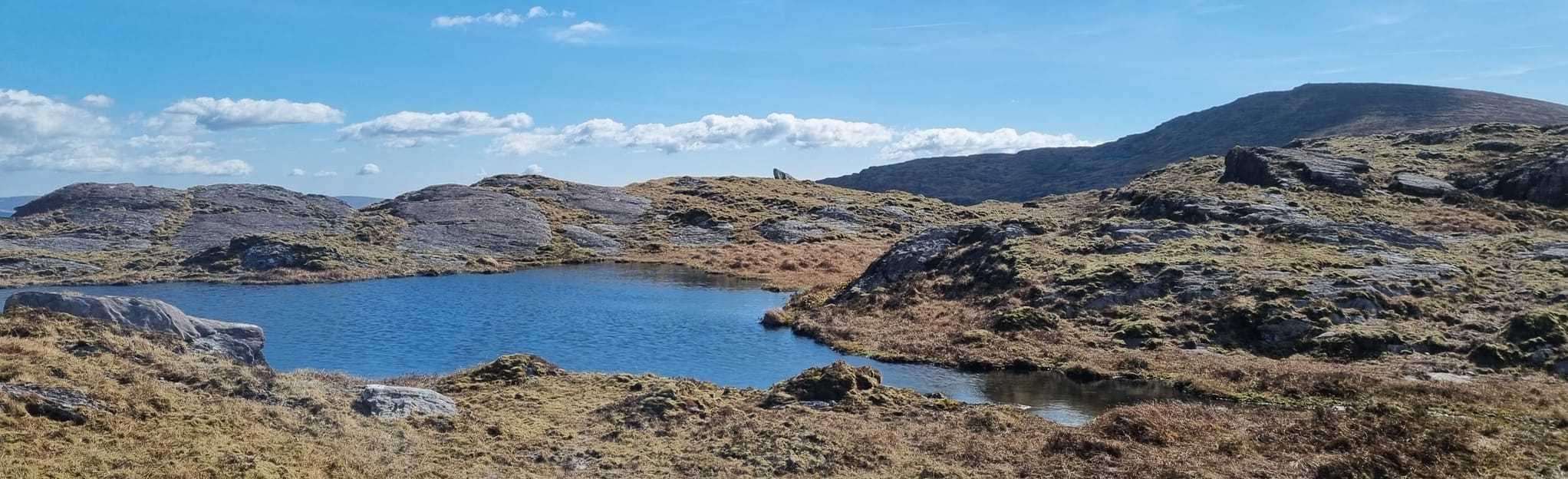 An Cnoc Buí (Knockboy), County Cork, Ireland - 91 Reviews, Map | AllTrails