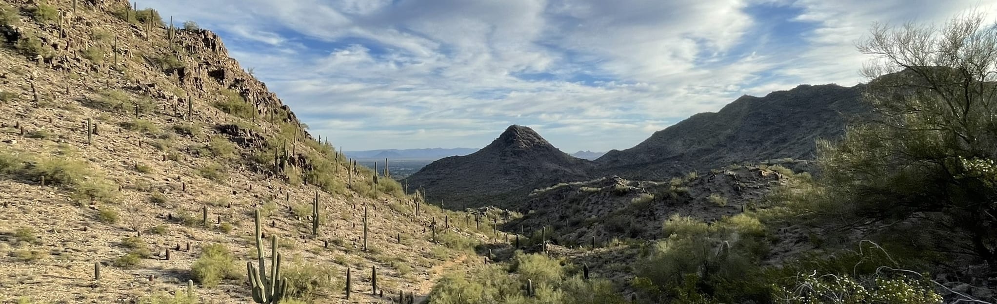 Quartz Ridge Trail (#8A), Arizona - 1,850 Reviews, Map | AllTrails
