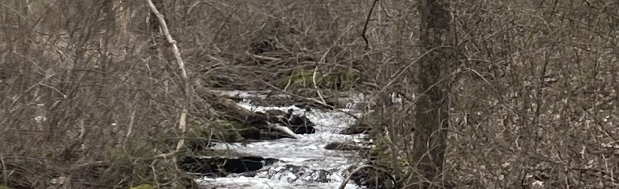 Scantic River State Park, Connecticut - 4 Reviews, Map | AllTrails