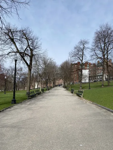 10 Best Trail Running Trails in Boston | AllTrails