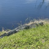 Three Forks Marsh Trail, Florida - 33 Reviews, Map | AllTrails