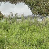 Three Forks Marsh Trail, Florida - 33 Reviews, Map | AllTrails