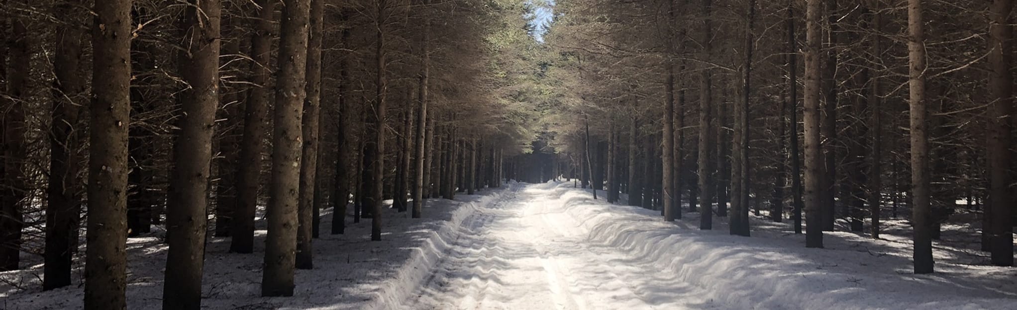 Premier relais Arpents Verts | Map, Guide - Quebec, Canada | AllTrails