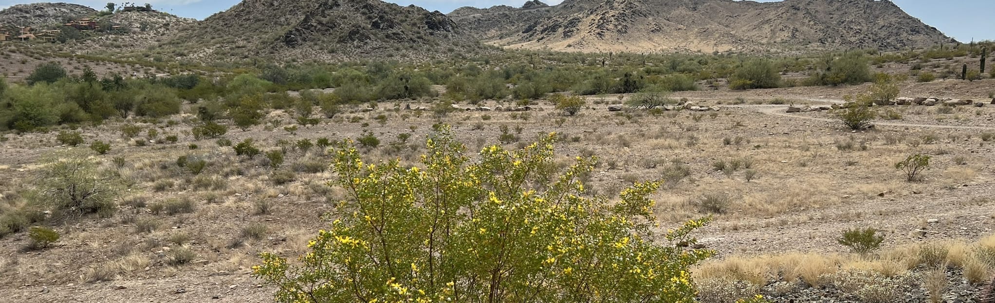 Trail 100 and Trail 306 Short Loop: 837 Reviews, Map - Arizona | AllTrails