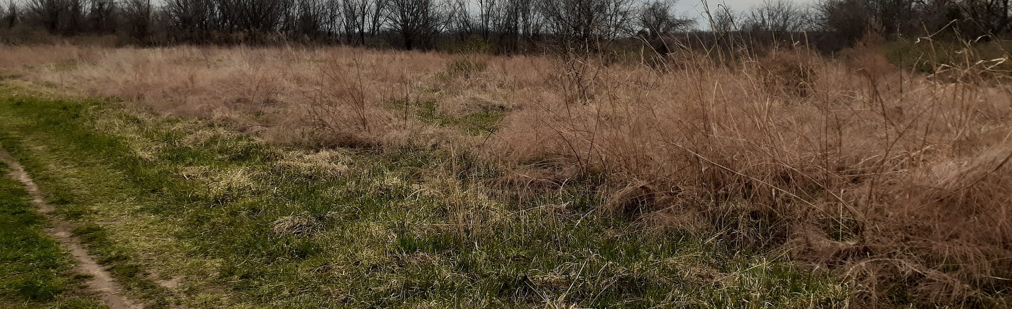 Landahl Park 10 and 11 Loop: 21 Reviews, Map - Missouri | AllTrails