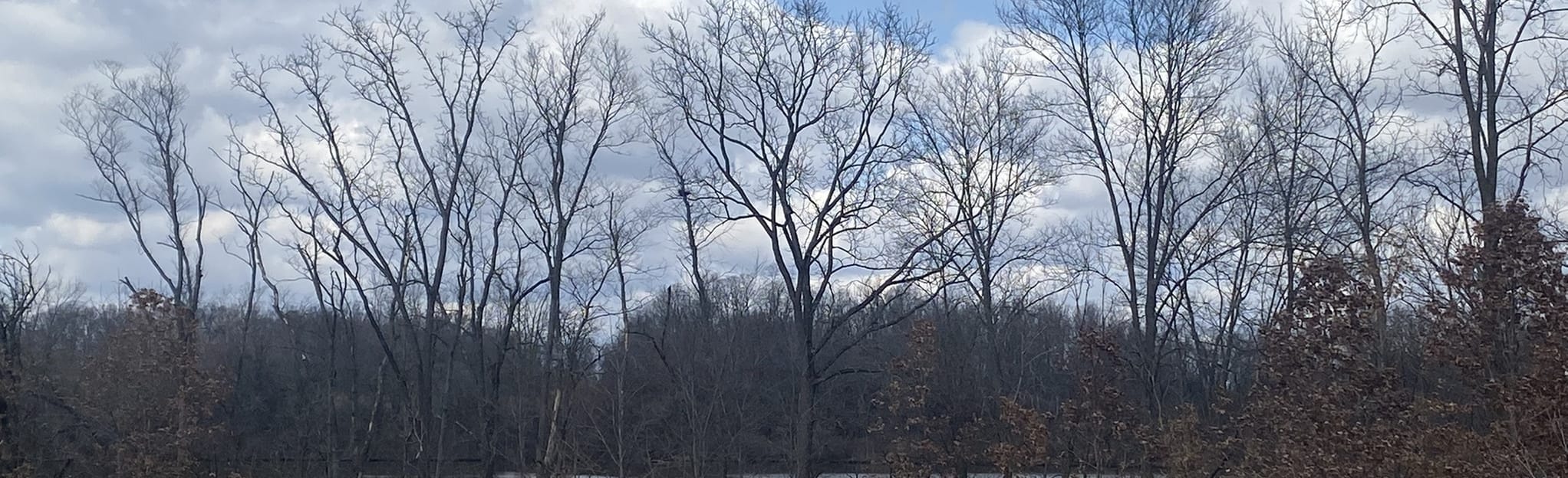 Red-Tail Nature Preserve Loop Trail, Indiana - 35 Reviews, Map | AllTrails