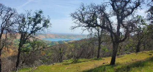 Best Hikes and Trails in Round Valley Regional Preserve | AllTrails