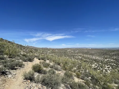 Best Hikes and Trails in Painted Hills Trails Park | AllTrails