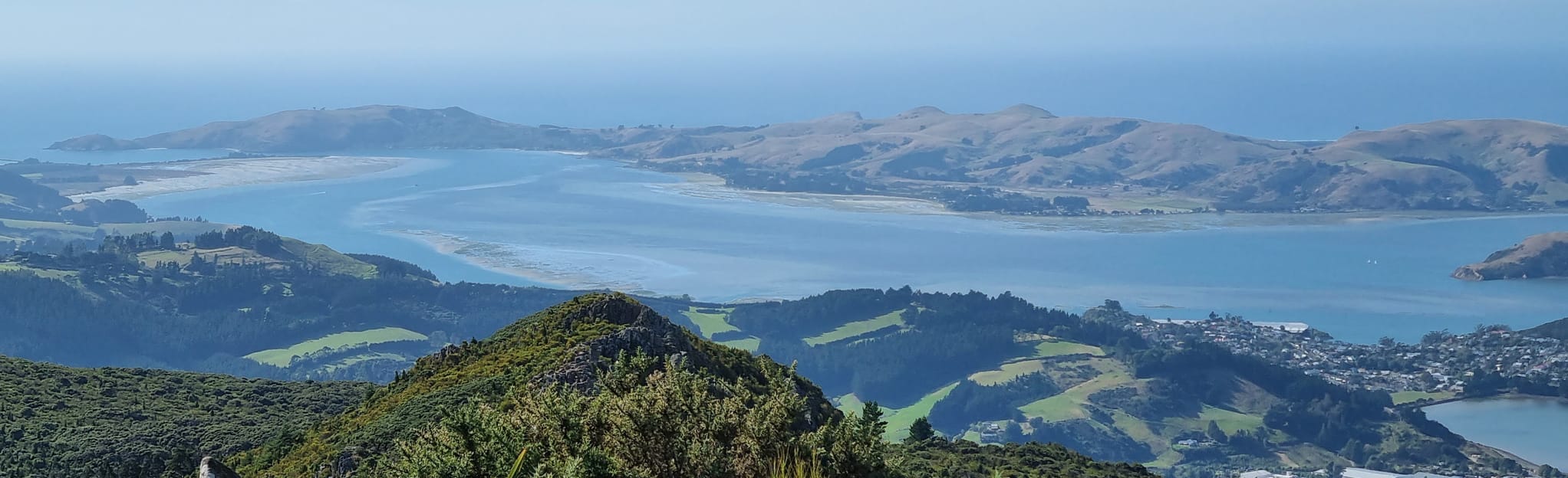 Mount Cargill Walk: 191 Fotos - Otago, Neuseeland | Wandern | AllTrails