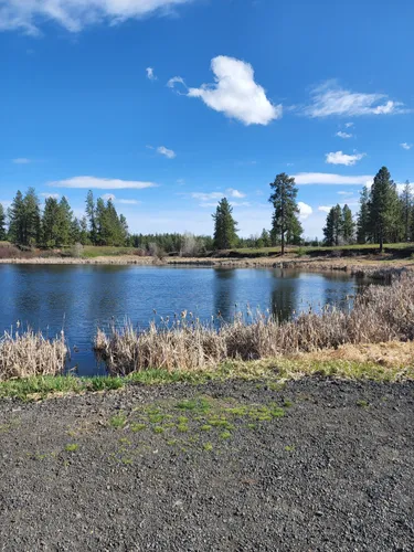 10 Best Trails and Hikes in Cheney | AllTrails